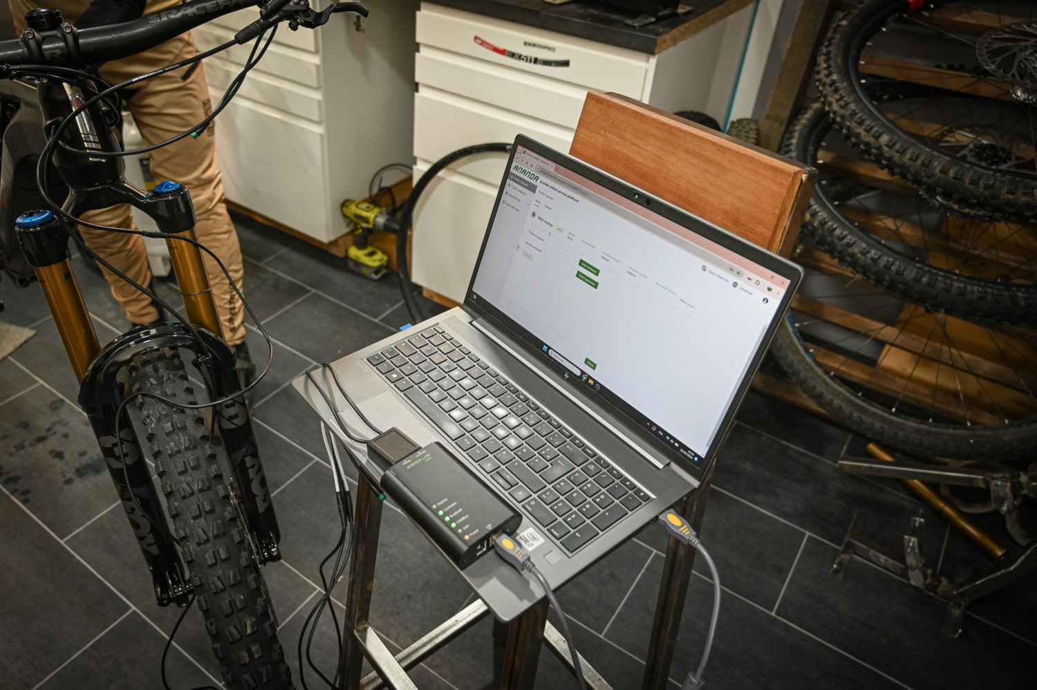 Ananda Link - Ananda