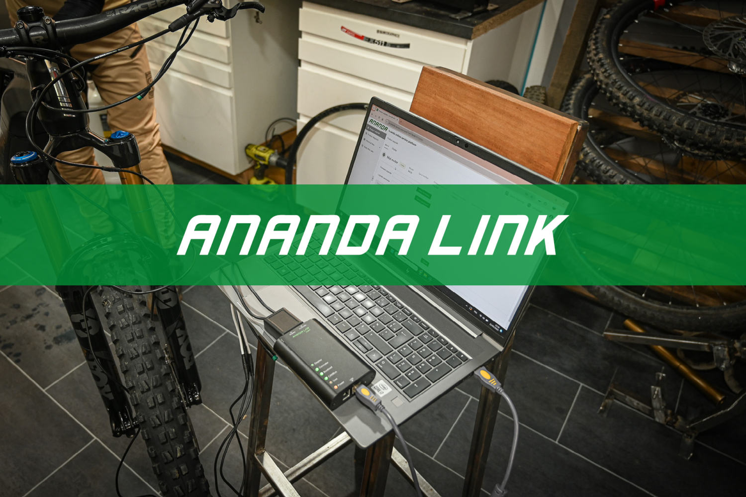 Ananda Link - Ananda