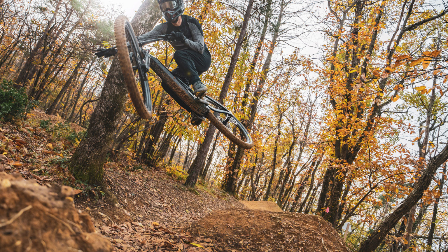 Ananda Link - Ananda